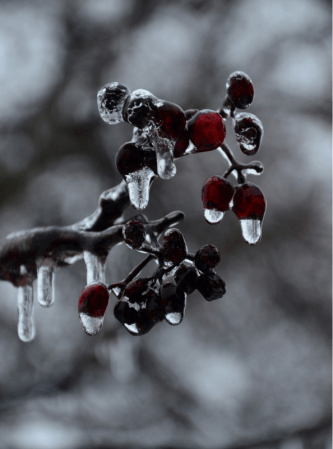 Snow, ice pellets and freezing rain hitting Eastern Canada this weekend ...