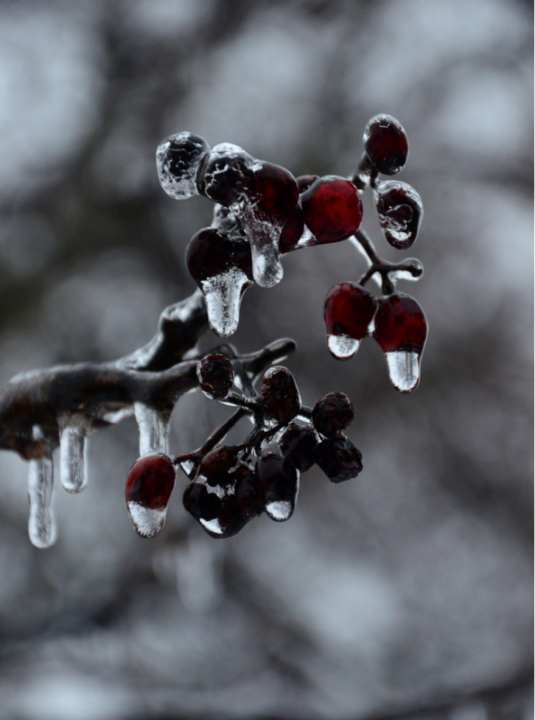 Snow, ice pellets and freezing rain hitting Eastern Canada this weekend ...