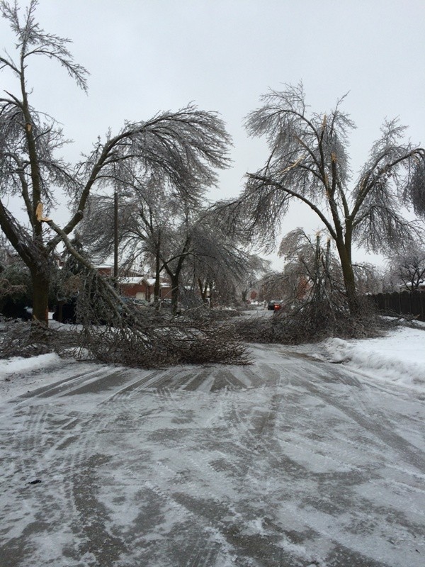 Ice storm grips Ontario, Quebec and Maritimes | Globalnews.ca