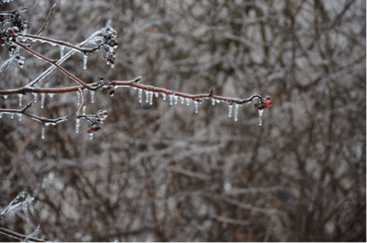 Snow, ice pellets and freezing rain hitting Eastern Canada this weekend ...