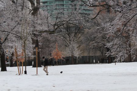 Video and images from the eastern Canada ice storm | Globalnews.ca