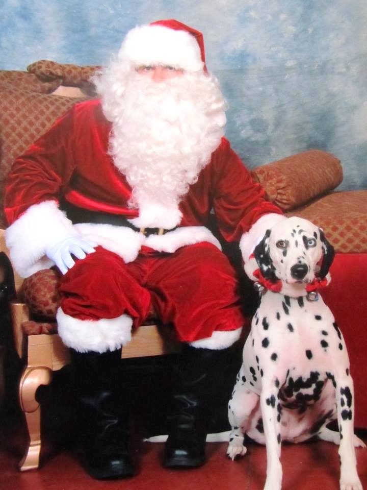 OKANAGAN HOLIDAY CHRISTMAS PHOTOS | Globalnews.ca