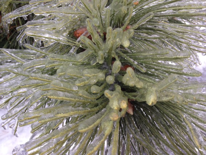 Video and images from the eastern Canada ice storm | Globalnews.ca