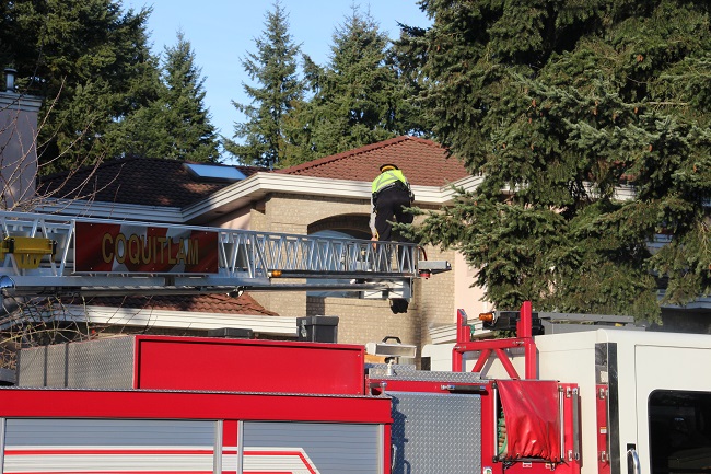 UPDATE: Coquitlam RCMP look for witnesses of fatal pedestrian hit-and ...