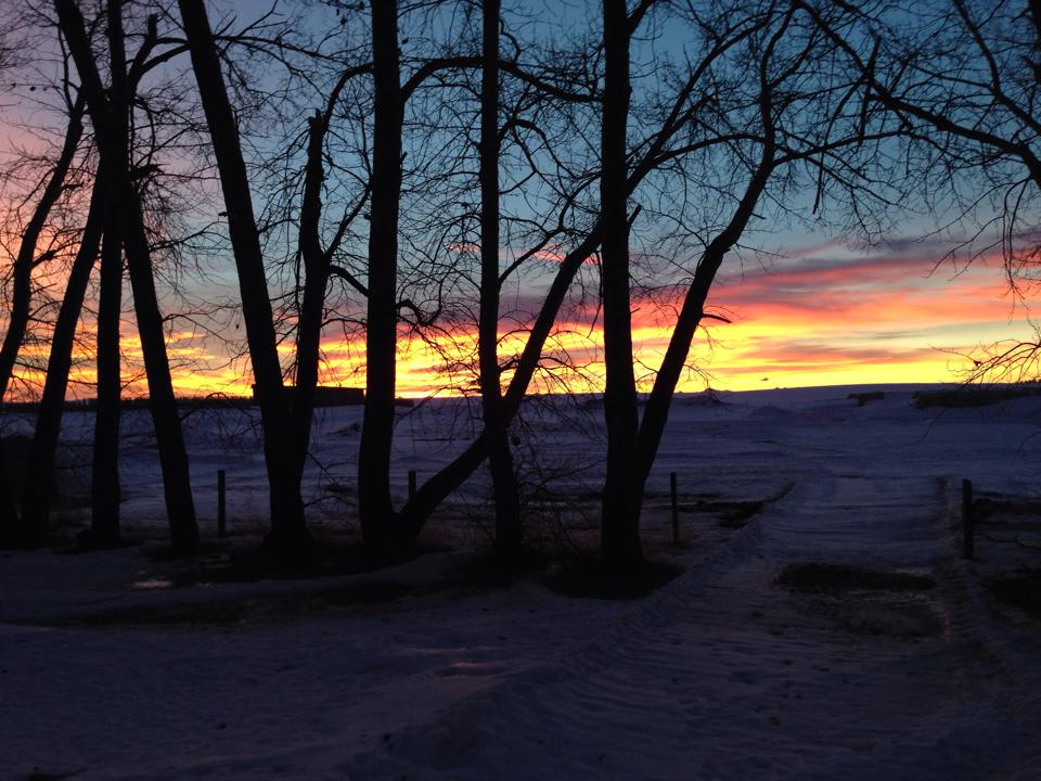 GALLERY: Stunning sunset over Alberta sky - Calgary | Globalnews.ca