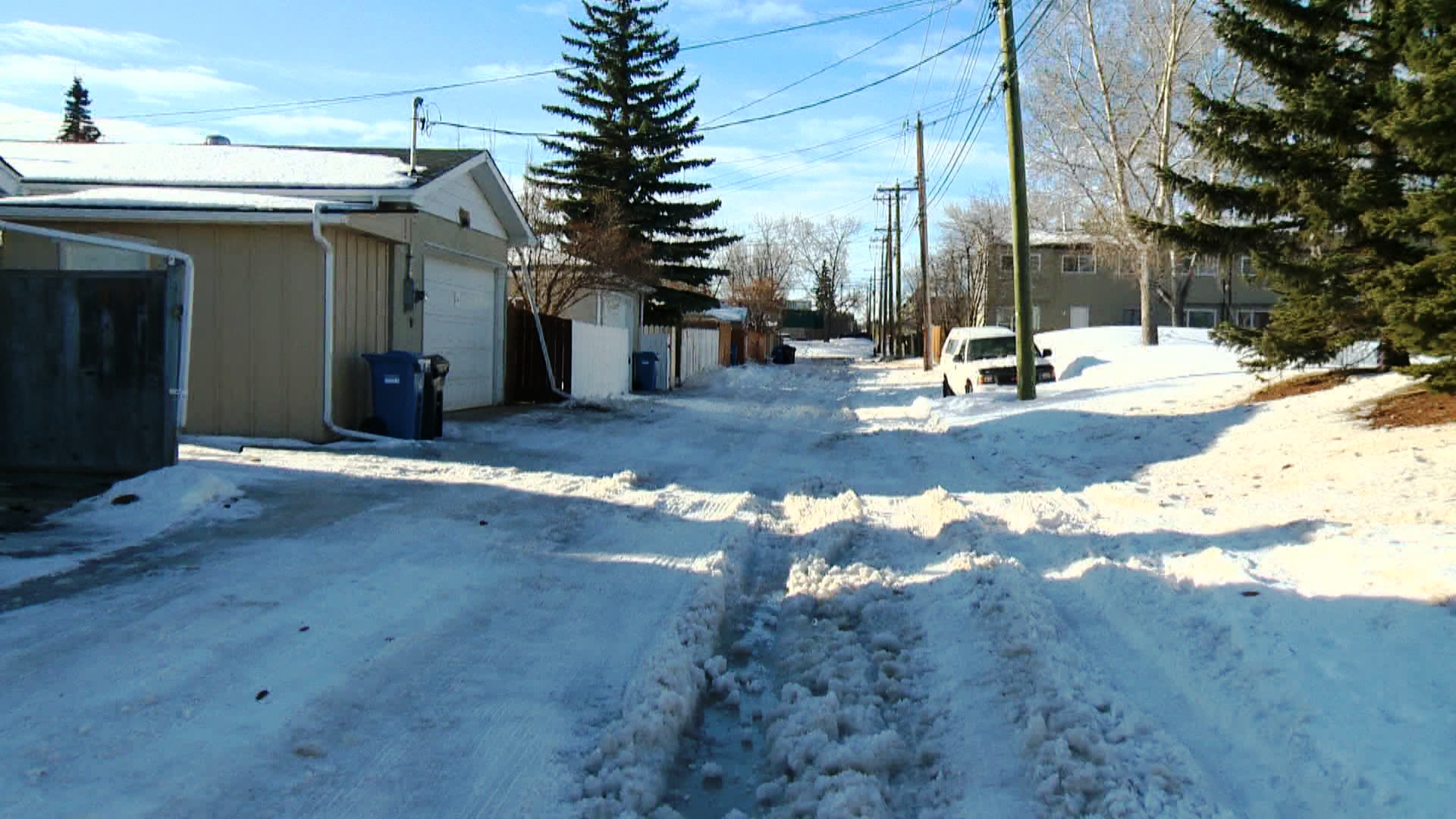 Humane Society searches home after husky, cat found dead in Willow Park ...
