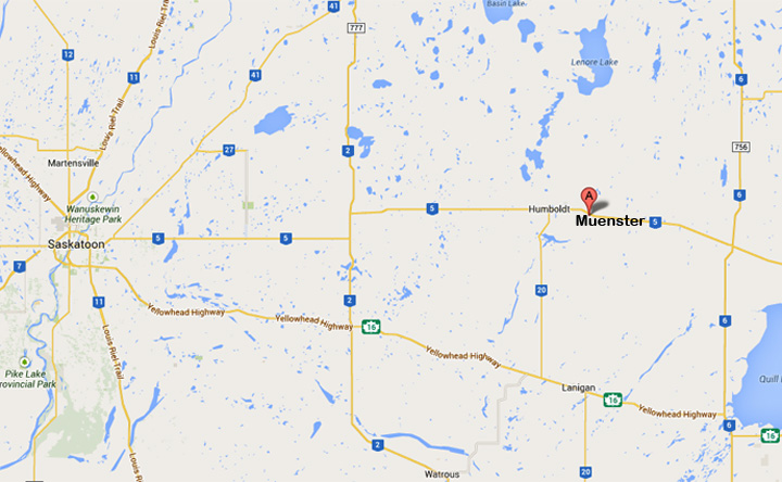 Man killed in pedestrian crash near Muenster, Sask. - Saskatoon ...
