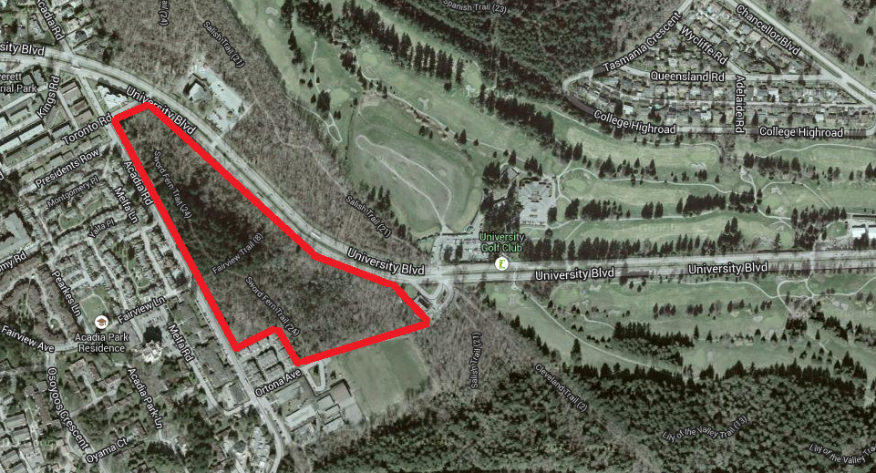 Residents who live next to UBC frustrated by lack of local government ...