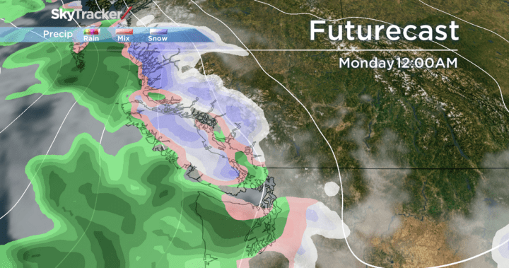 A blast of winter hits B.C.: Which areas will see snow, freezing rain ...