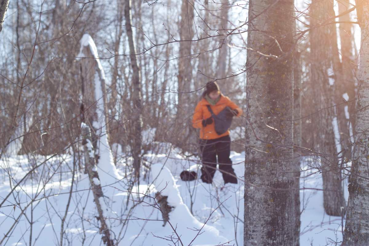 A (brief) History of Winter | Globalnews.ca