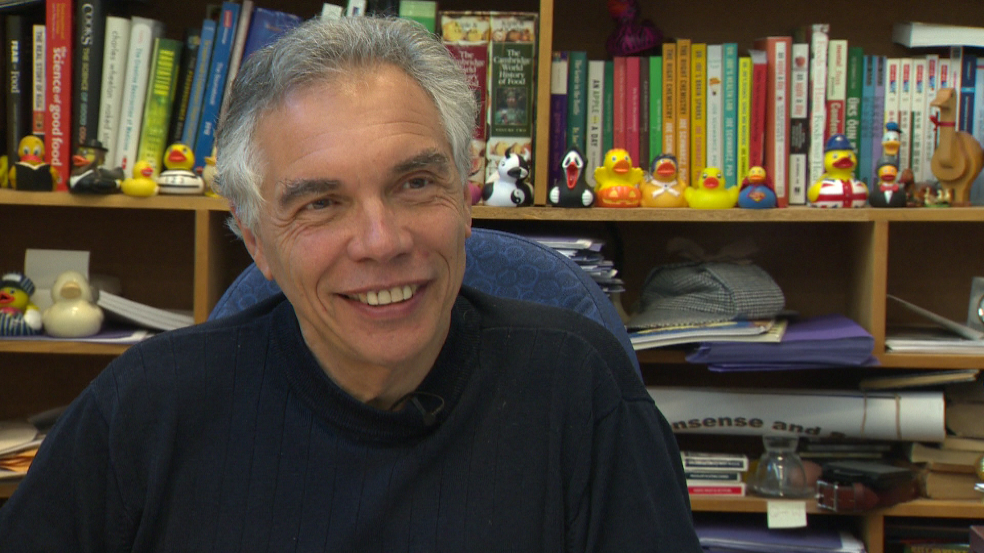 McGill professor stands by his Facebook comment about Marois - Montreal ...