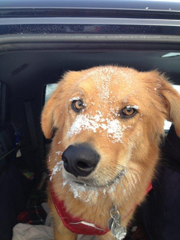GALLERY: Shivery selfies snapped in Calgary’s cold weather - Calgary ...