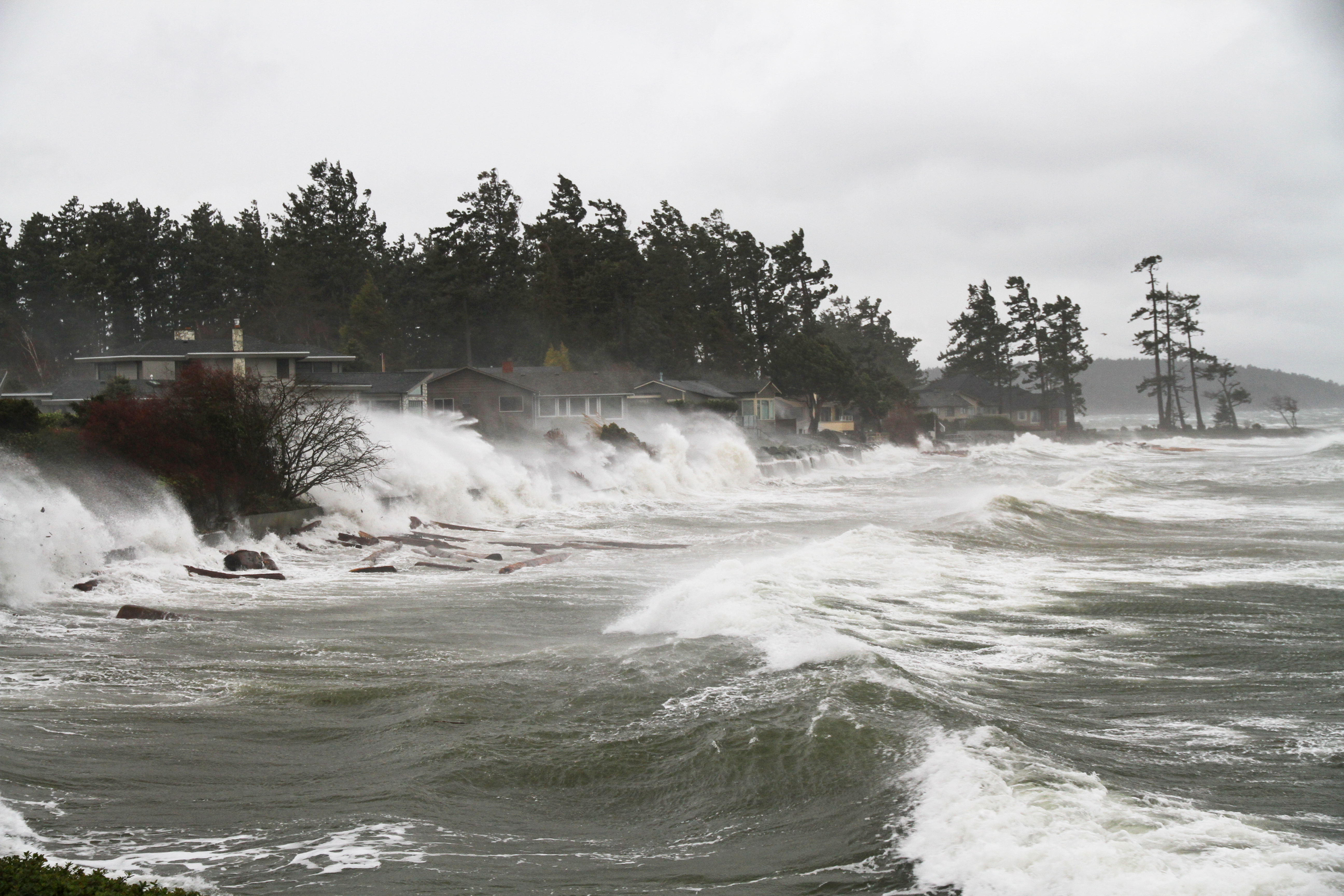 Outages, trees down, heavy snow and avalanche risk after storm batters ...