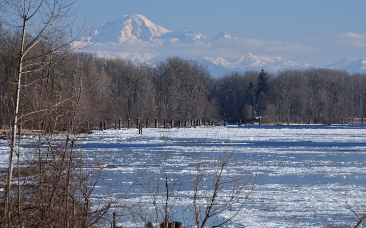 Weather Window, February 8-14 | Globalnews.ca