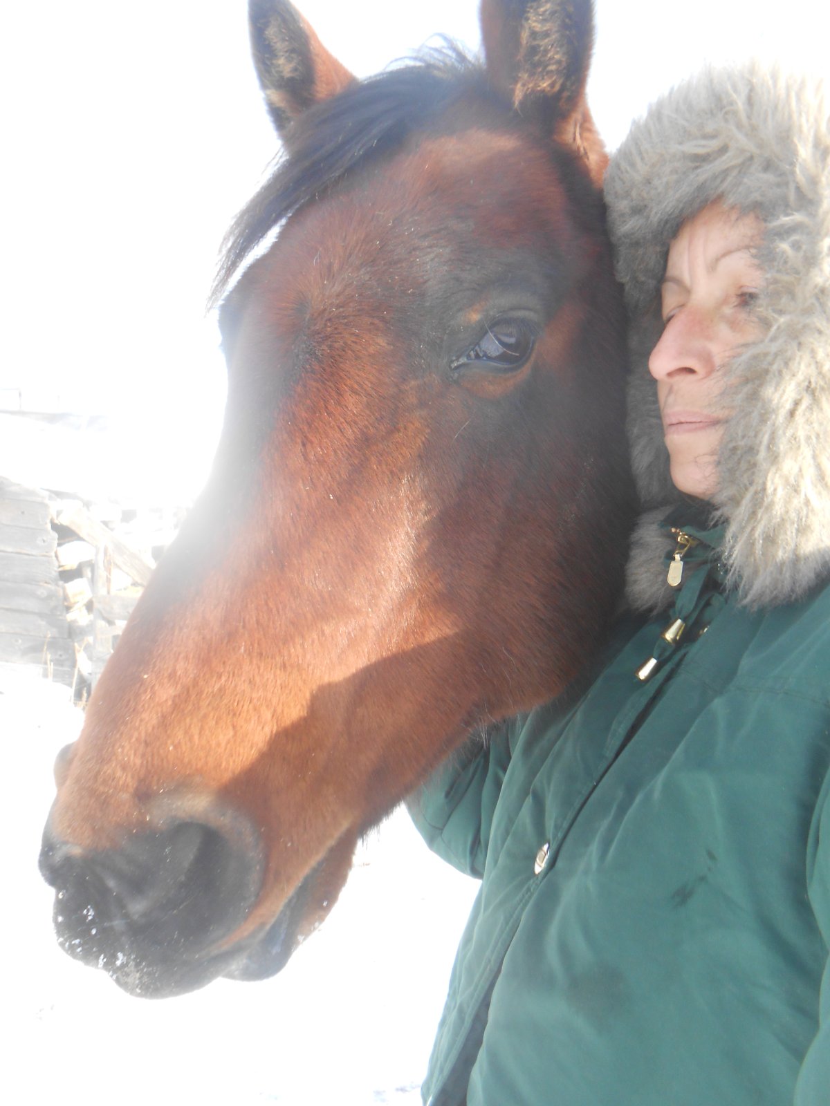 GALLERY: Shivery selfies snapped in Calgary’s cold weather - Calgary ...