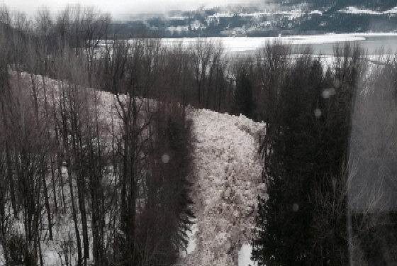 Huge avalanche blocks road in Revelstoke | Globalnews.ca