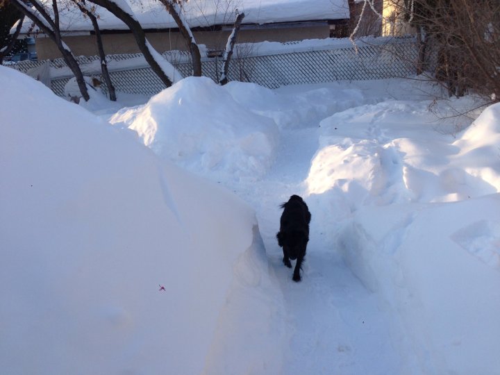 In photos: Your best (worst) winter weather photos | Globalnews.ca