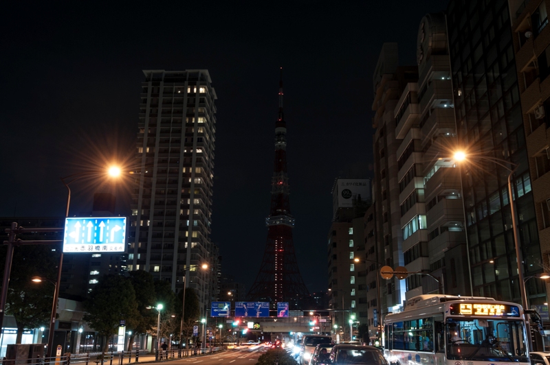World landmarks participate in Earth Hour | Globalnews.ca