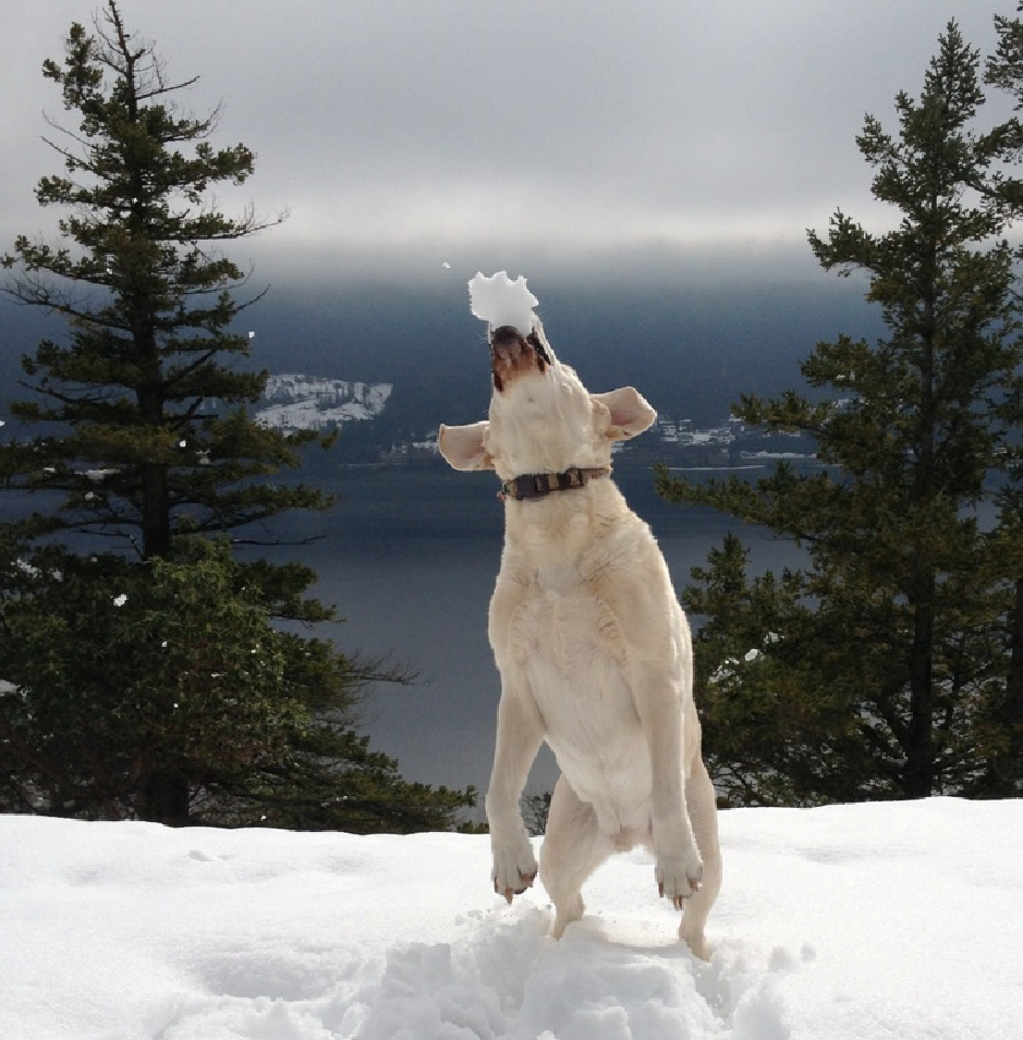 Weather Window, March 8-14 | Globalnews.ca