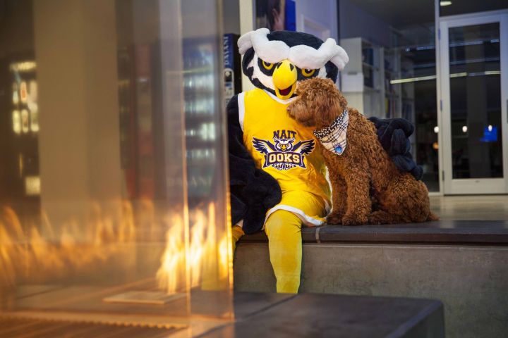 Young pooch to help NAIT students cope with stress, anxiety - Edmonton ...