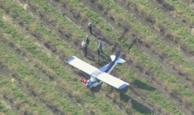 Ultralight pilot OK after emergency landing in Surrey - BC | Globalnews.ca