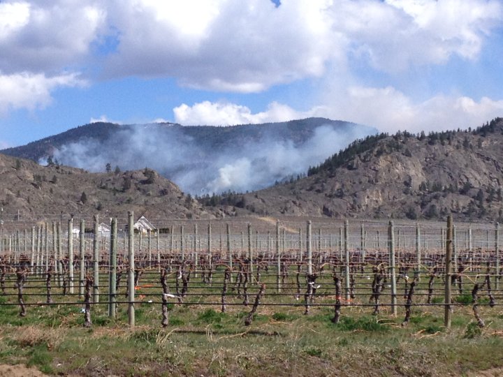 UPDATE: Wildfire grow to 80 hectares northeast of Osoyoos | Globalnews.ca