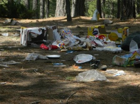 Long weekend campers leave horrible mess behind in B.C. campground ...