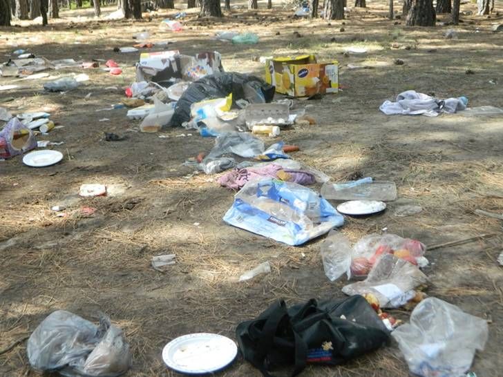 Long weekend campers leave horrible mess behind in B.C. campground ...