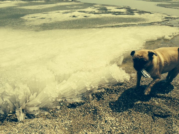 Your Manitoba: May - Winnipeg | Globalnews.ca