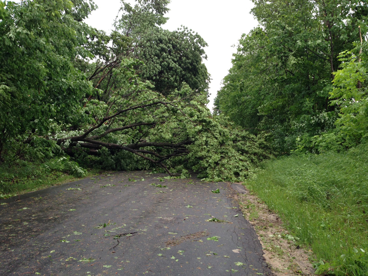 Tornado touches down in Angus, Ont.; state of emergency declared ...