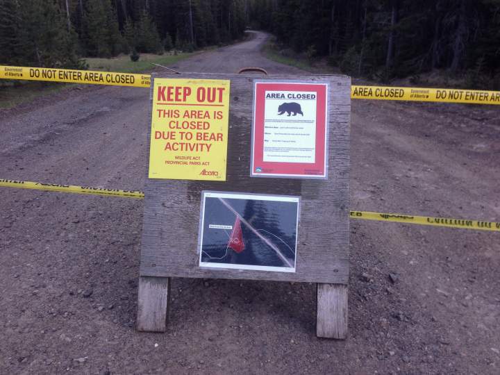 Bear warning issued for Grassi Lakes day use area | Globalnews.ca