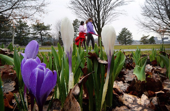 Spring arrives early in London, temperature could hit 17 C Wednesday ...