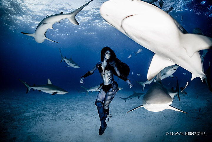 PHOTOS: Human ‘mermaid’ Hannah Fraser dances with wild tiger sharks ...