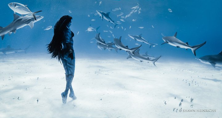 PHOTOS: Human ‘mermaid’ Hannah Fraser dances with wild tiger sharks ...
