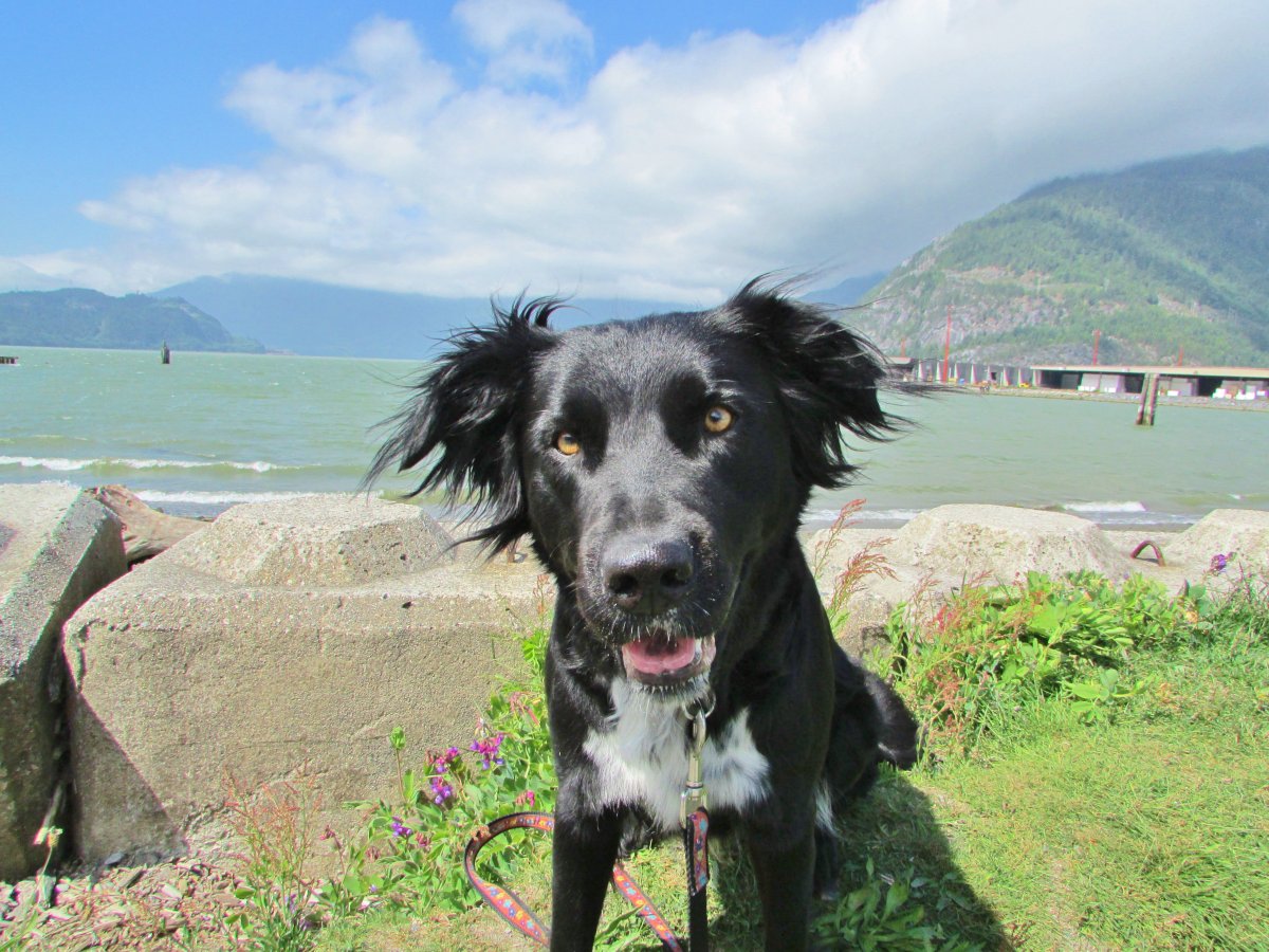 Weather Window, May 30-June 5 | Globalnews.ca