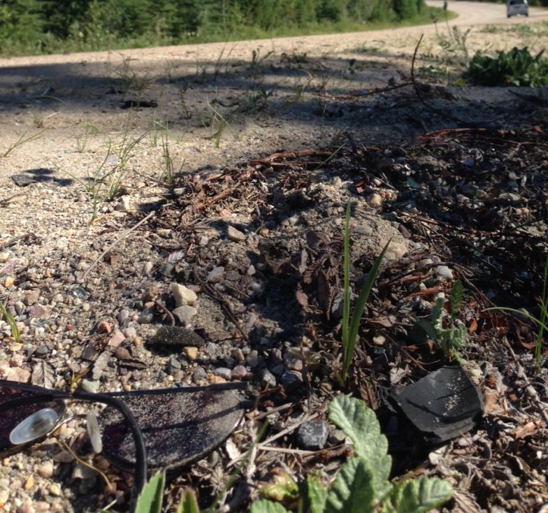 UPDATE: Four people killed in head-on crash near Jasper from Germany ...