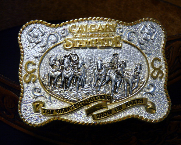 Horse dead, driver injured following incidents at Calgary Stampede ...
