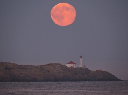 GALLERY: Glorious photos of Saturday night’s “supermoon” across BC ...