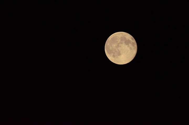 GALLERY: Glorious photos of Saturday night’s “supermoon” across BC ...