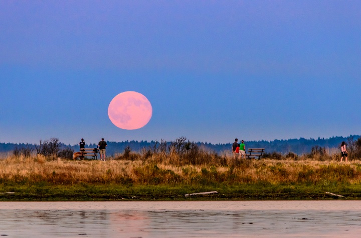 GALLERY: Glorious photos of Saturday night’s “supermoon” across BC ...