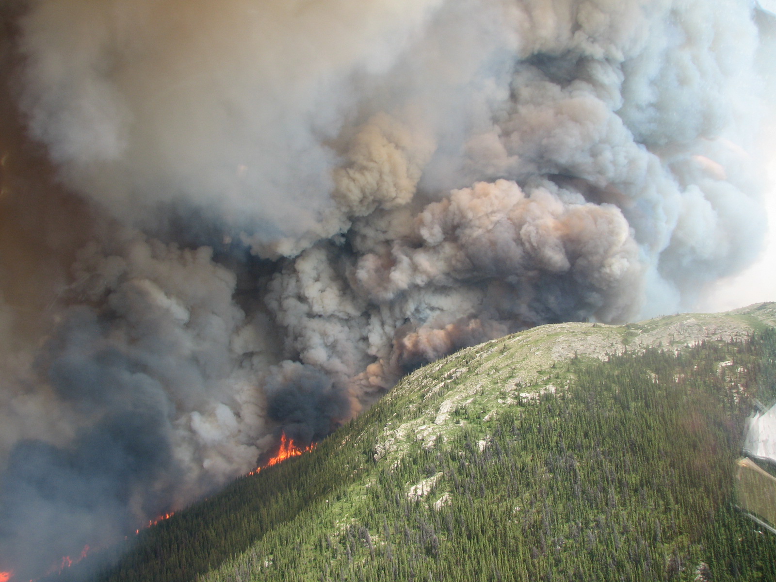 Evacuation order for Hudson’s Hope lifted: Mount McAllister fire at ...