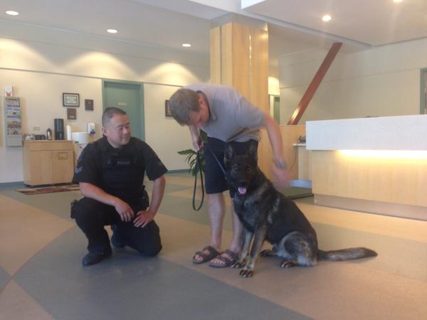 WATCH: Police officers learn how to give first aid to their police dogs ...
