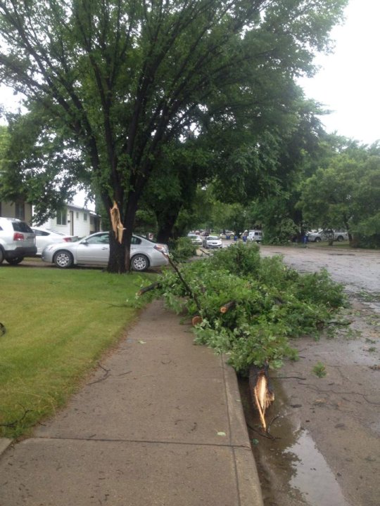 Storm aftermath keeping crews busy in Saskatchewan | Globalnews.ca