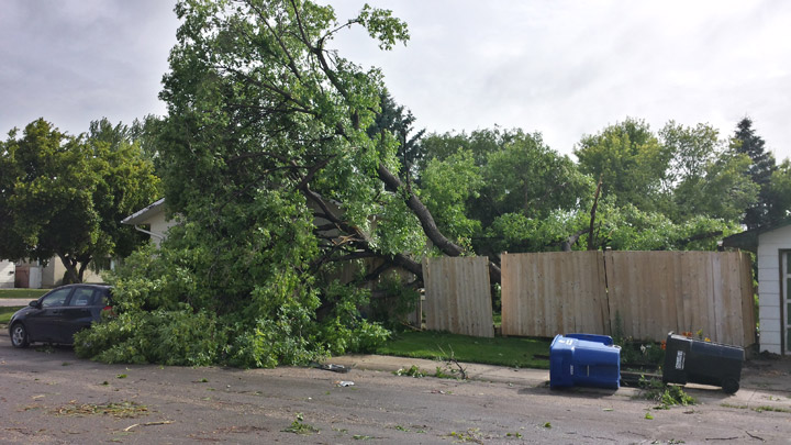 Storm aftermath keeping crews busy in Saskatchewan | Globalnews.ca
