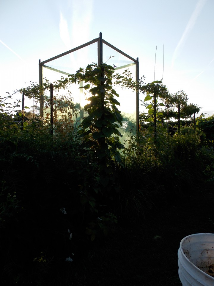 A beekeeper’s paradise in NDG - Montreal | Globalnews.ca