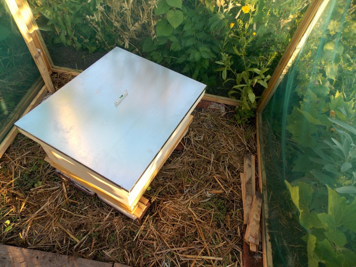 A beekeeper’s paradise in NDG - Montreal | Globalnews.ca