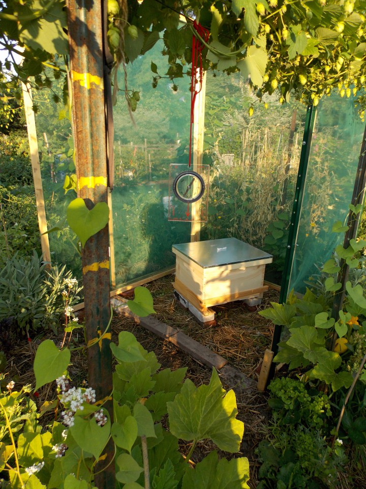 A beekeeper’s paradise in NDG - Montreal | Globalnews.ca