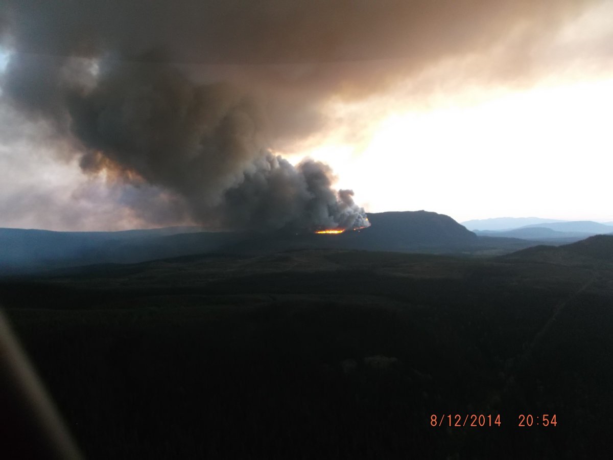 UPDATE: China Nose wildfire near Houston 20 per cent contained ...