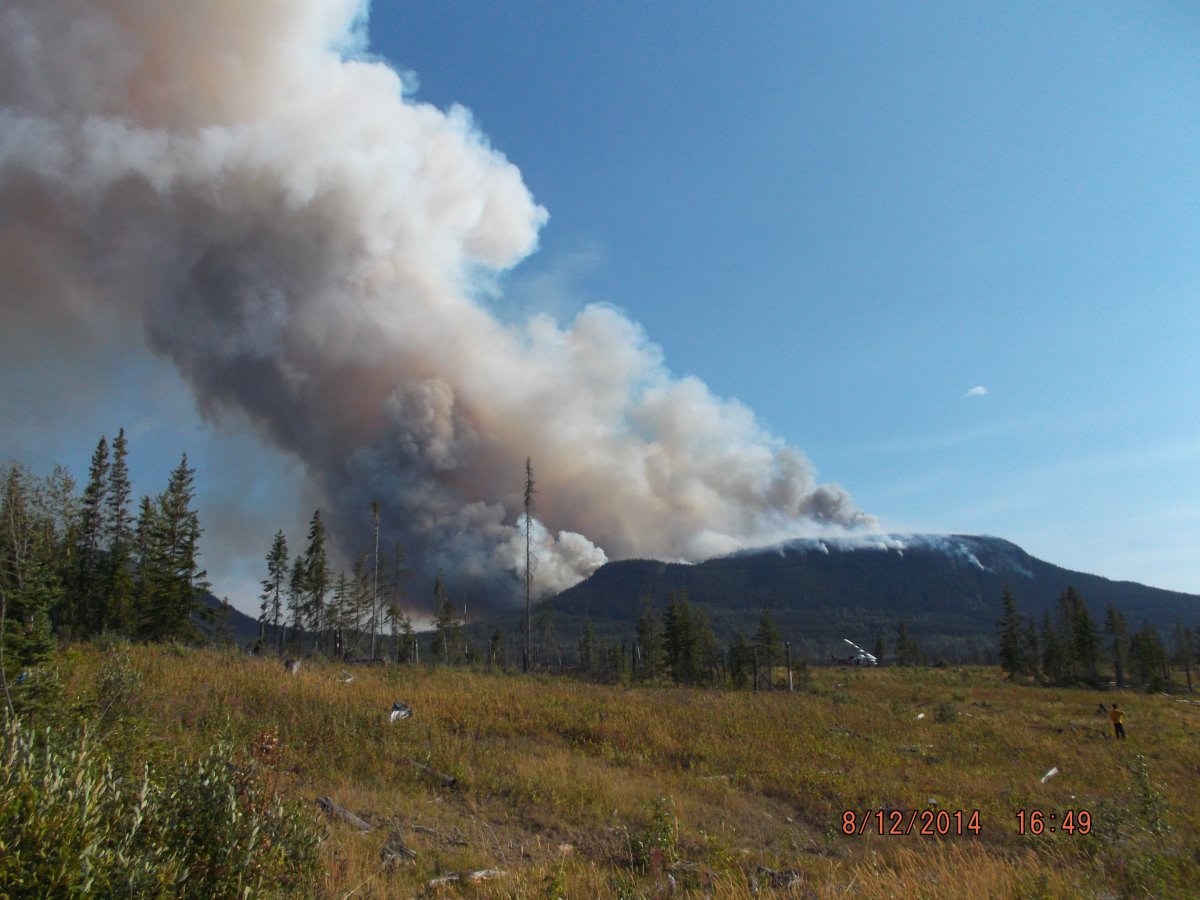 UPDATE: China Nose wildfire near Houston 20 per cent contained ...