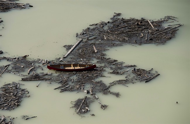 Elevated levels of chemicals found in Mount Polley sediment | Globalnews.ca